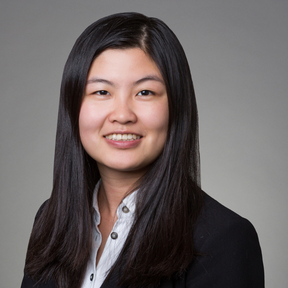 Bridge Modelling: The benefits of section for resultant forces with plate elements